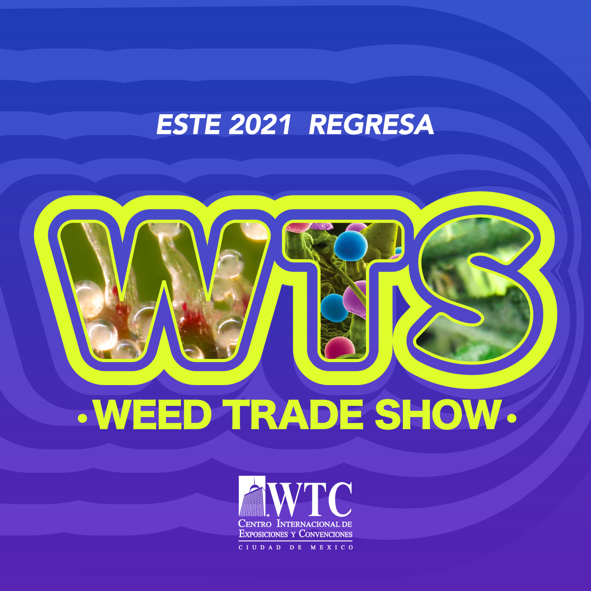 Weed Trade Show del 5 al 6 de Noviembre 2021