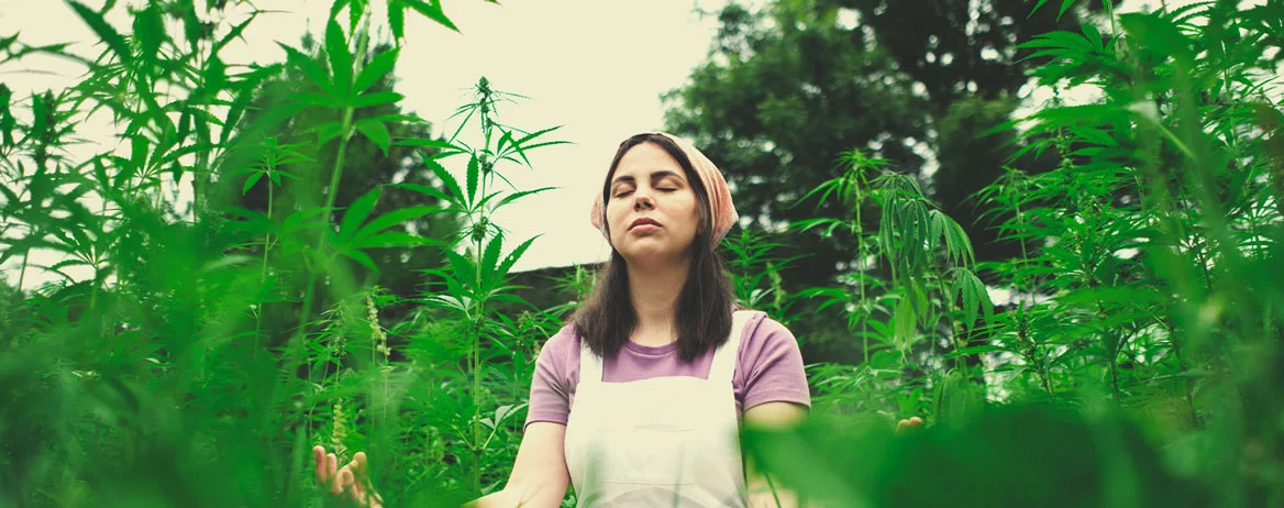 Explorando la conexión entre la marihuana y la meditación