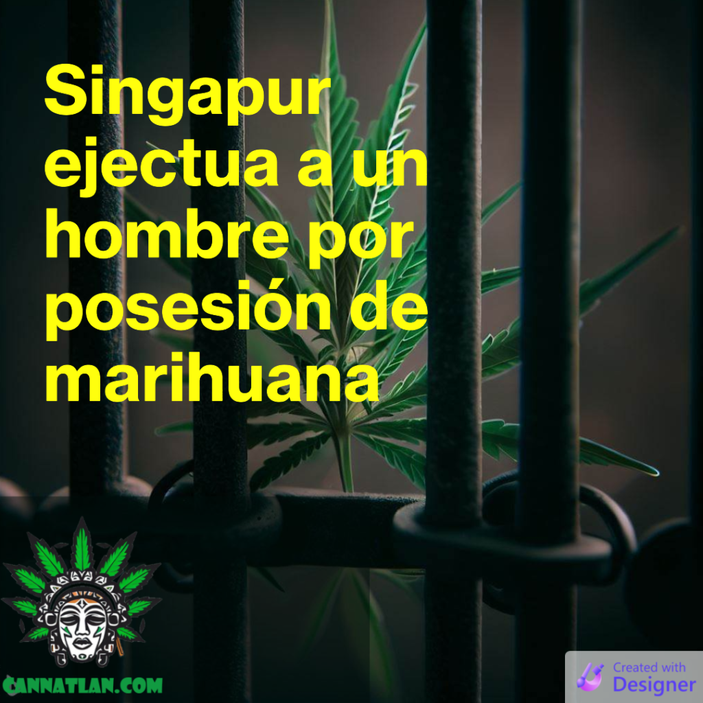 En 10 comunidades indígenas de Oaxaca, 175 campesinos apuestan por ...