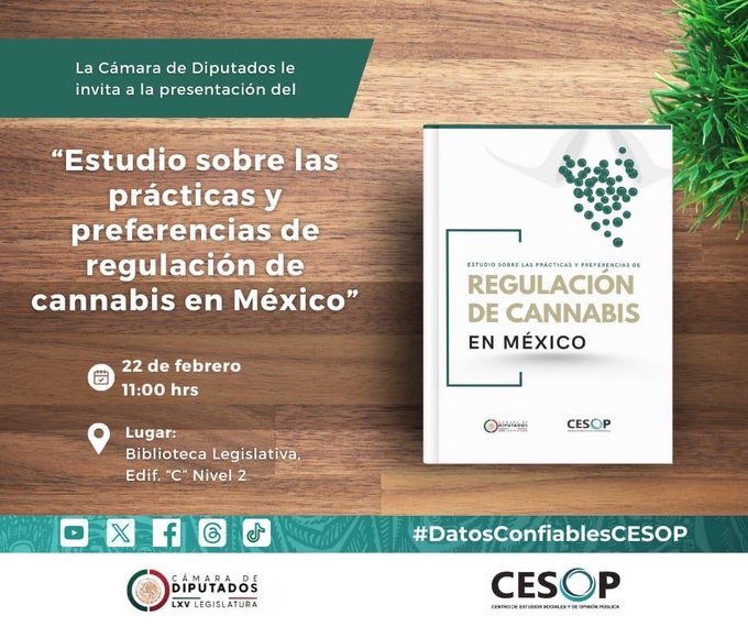 Cómo Regular El Cannabis En México Presentación Estudio Sobre Las