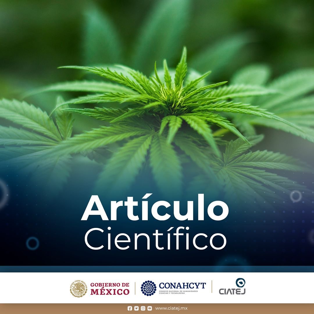 Estudio del CIATEJ sobre Tecnologías de Extracción de Cannabis: Impacto ...